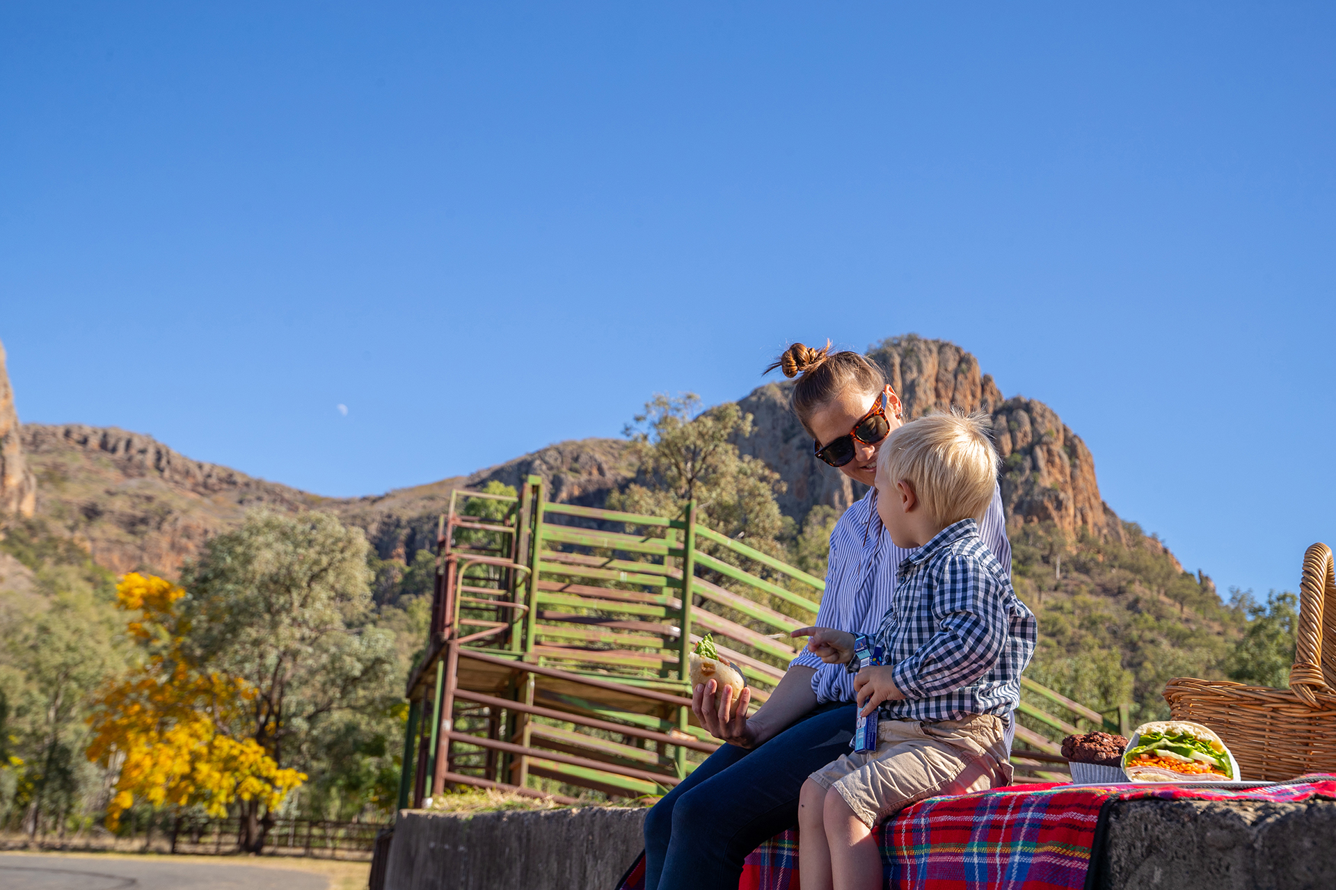 Springsure Branch - The Capricornian